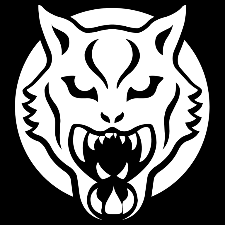 Tattoo Artist Dublin - Book Now - Wildcat Ink - Piercings Dublin